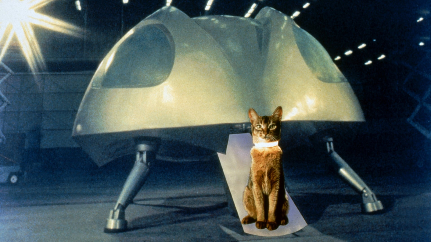 Le chat qui vient de l'espace (1979) | DisneyPixar.fr